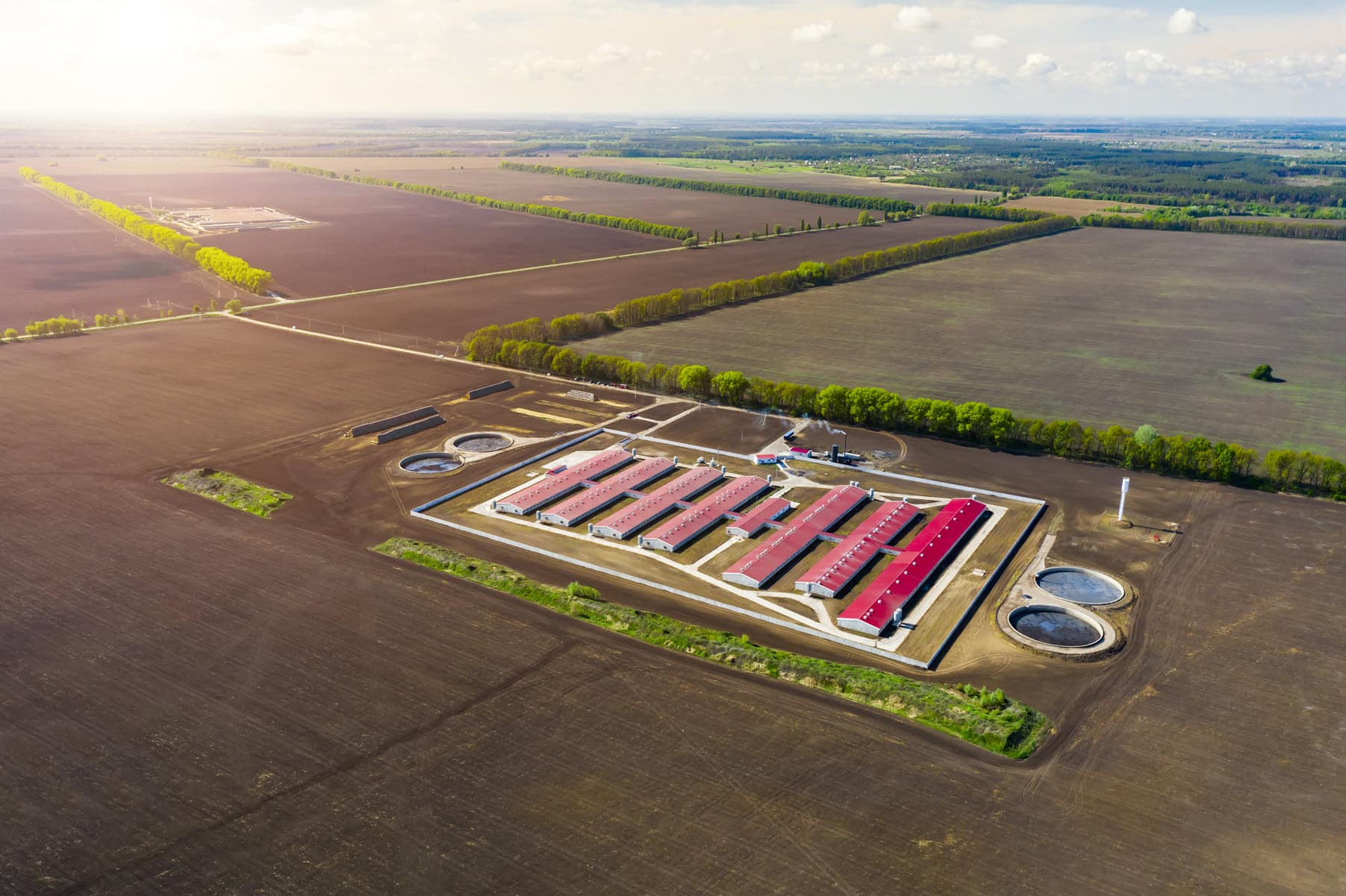 Unique Opportunity - AgriBusiness Connect