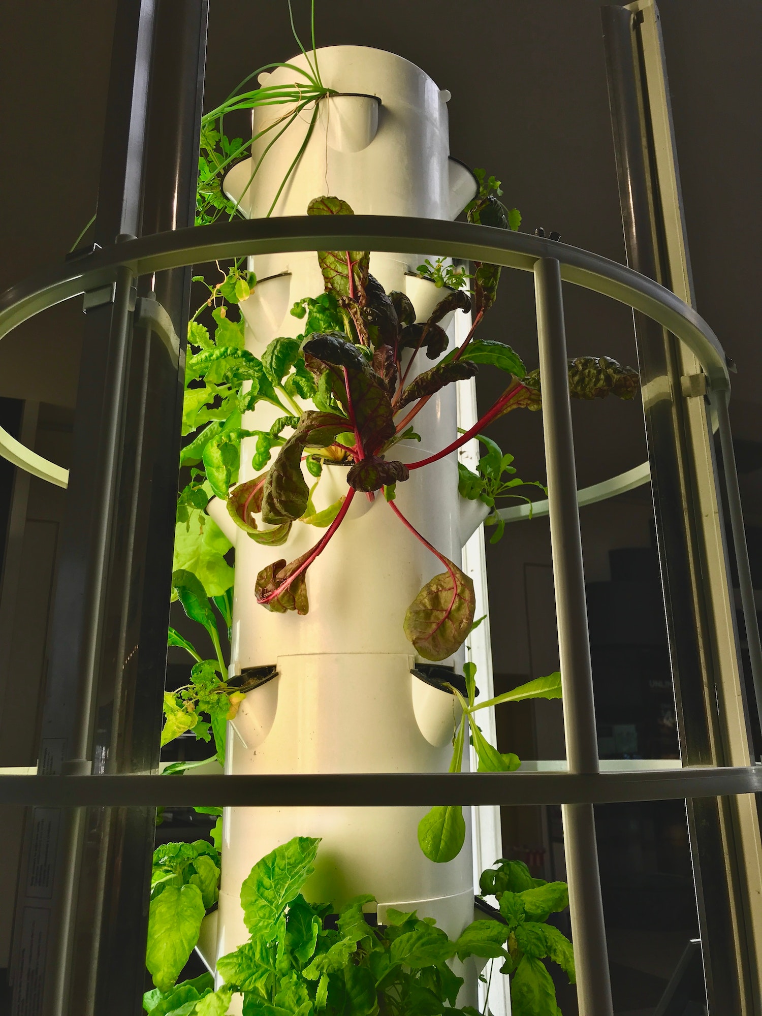 GainingGround - AgriBusiness Connect