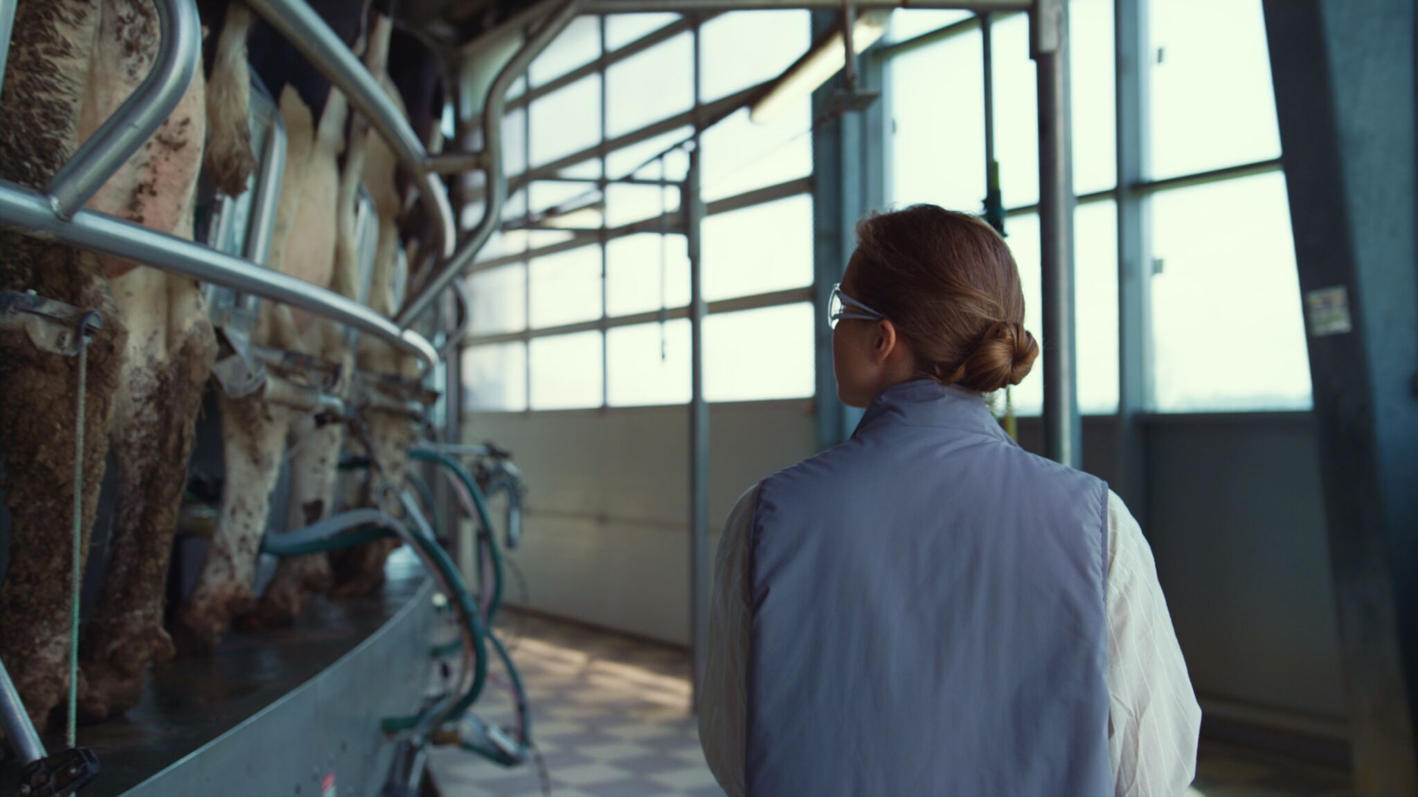 AgriBusiness Connect - AgriBusiness Connect