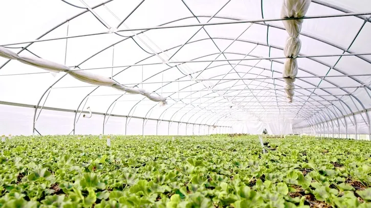 AgriBusiness Connect - AgriBusiness Connect