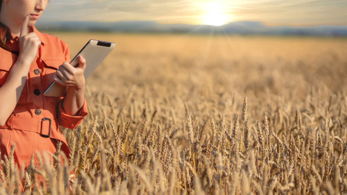 2024 GRDC GroundUp Showcase Day - AgriBusiness Connect